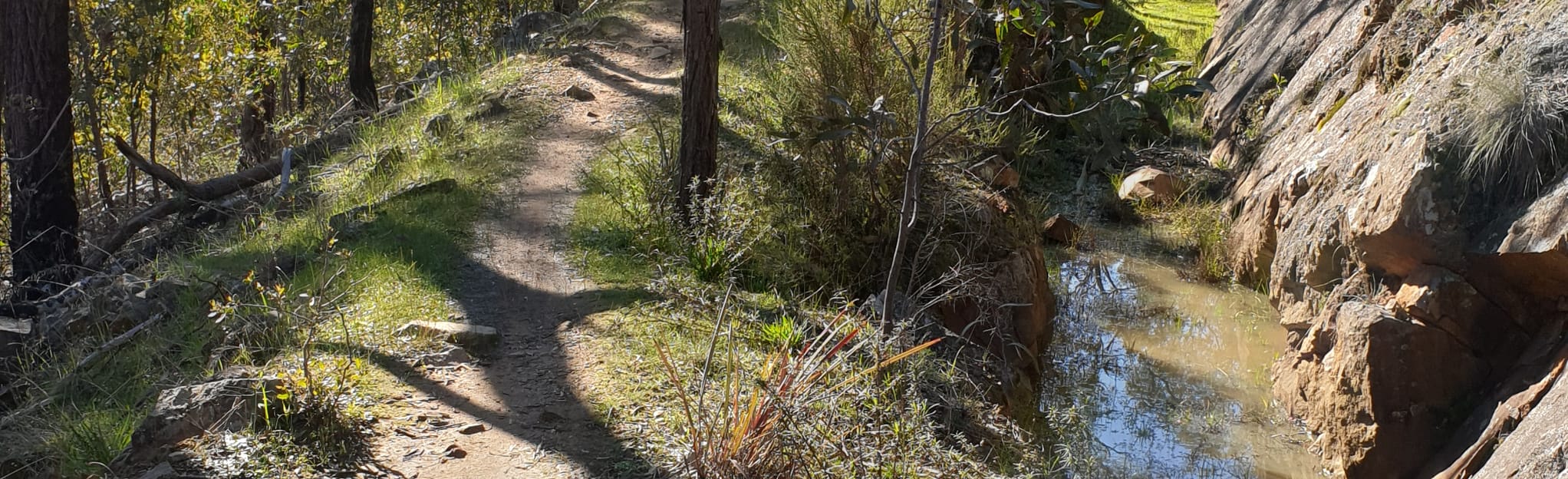 AllTrails | Castlemaine to Chewton Loop via The Monk: 13 Reviews, Map ...