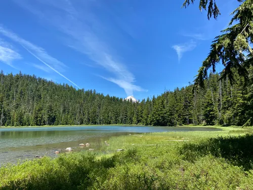 10 Best Snowshoeing Trails in Mount Hood National Forest | AllTrails