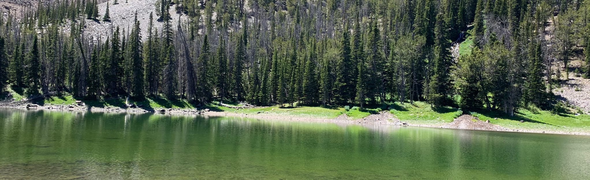 Nez Perce Lake Trail, Idaho - 13 Reviews, Map | AllTrails