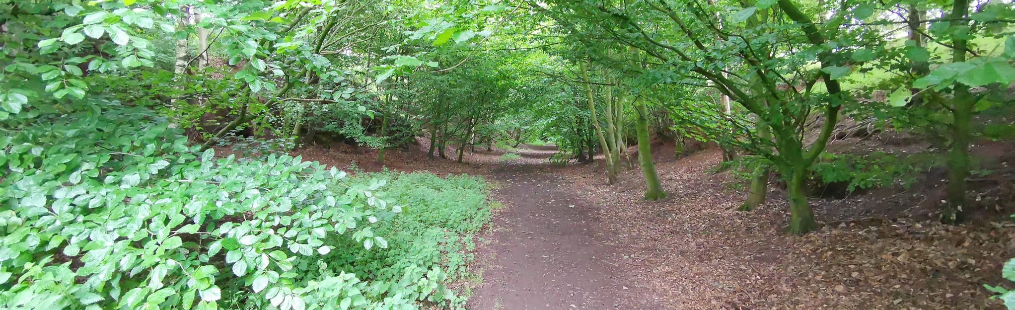 AllTrails | Garstang to Calder Vale: 14 Reviews, Map - Lancashire, England