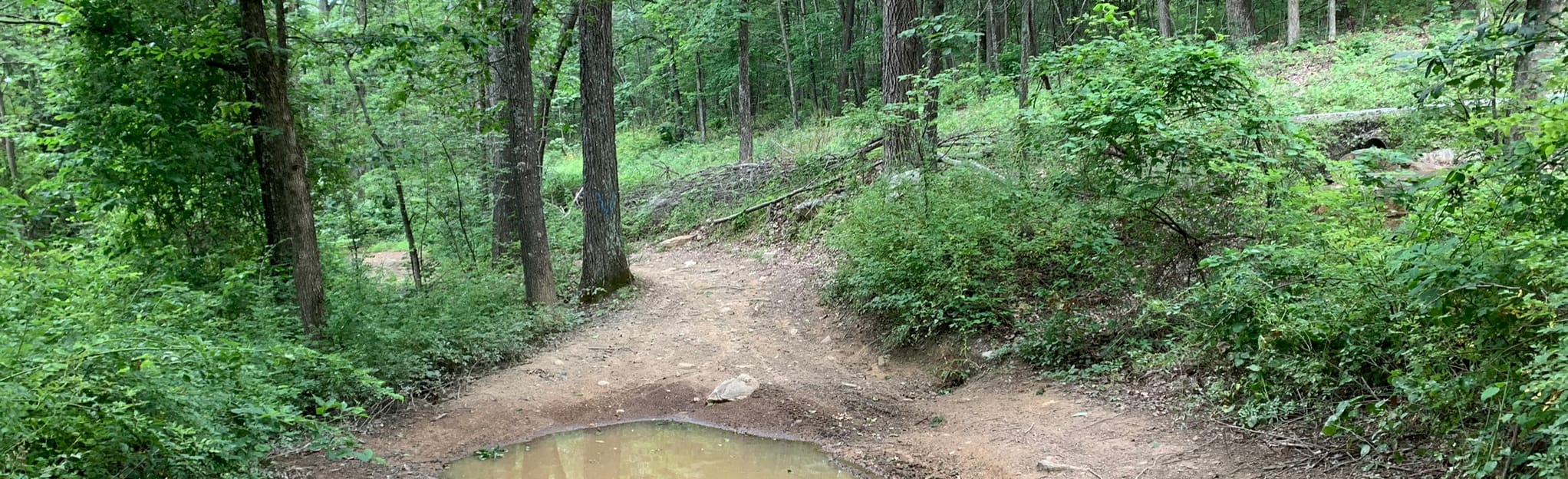 Taskers Gap Loop: 33 Reviews, Map - Virginia | AllTrails