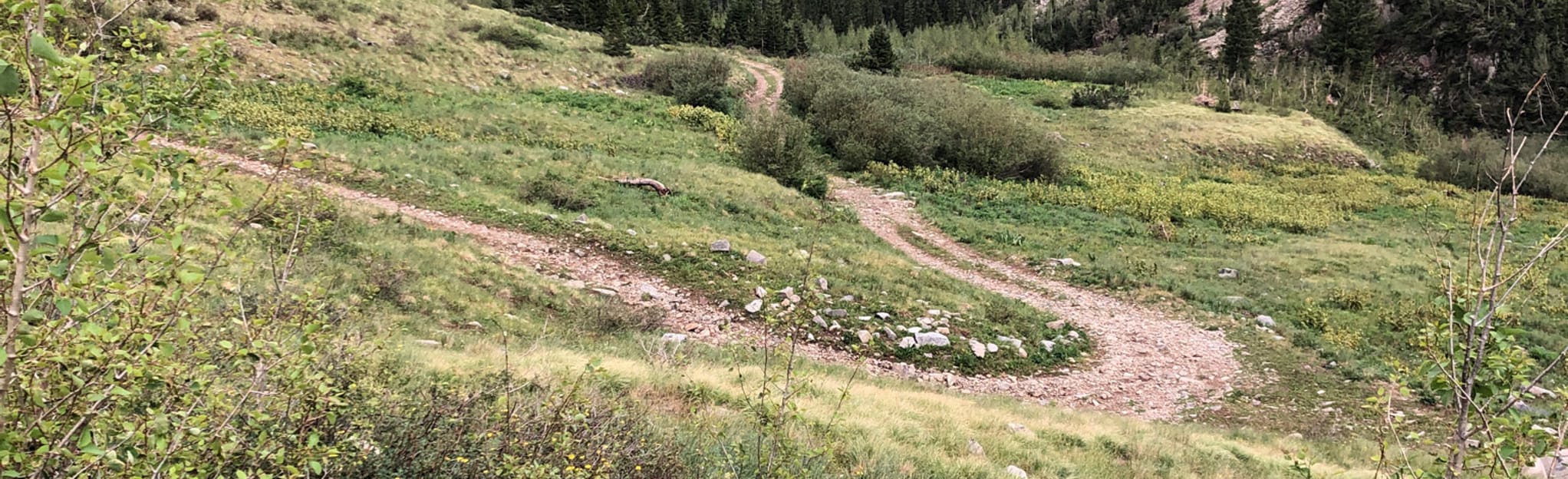 Diorite Peak via Basin Creek OHV Trail: 26 Reviews, Map - Colorado ...
