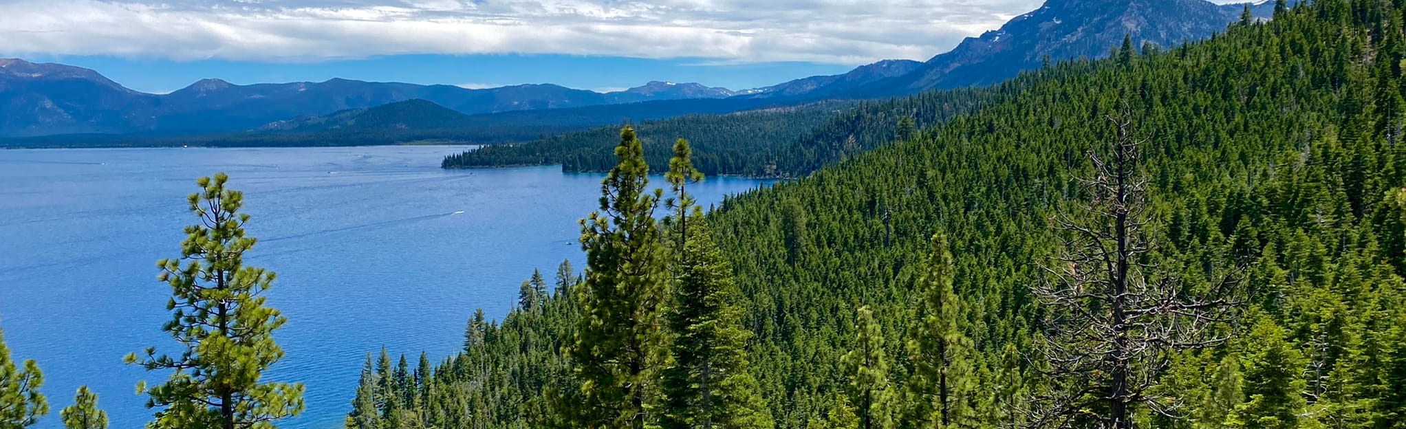 Rubicon Point Lighthouse Trail, California - 1,096 Reviews, Map | AllTrails