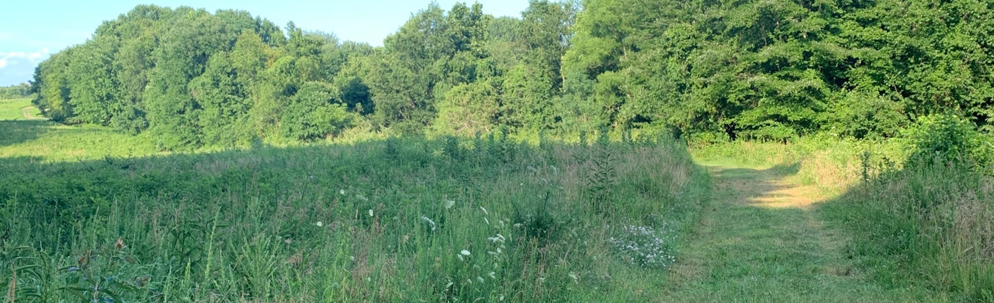 Blue Jay Loop Trail, Maryland - 15 Reviews, Map | AllTrails