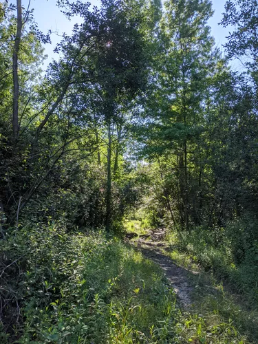 Best Hikes and Trails in Nature View Park | AllTrails