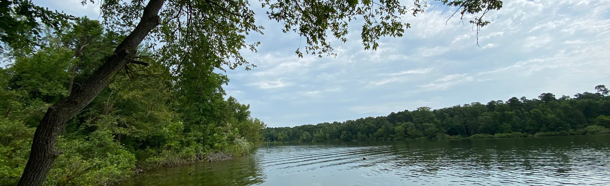 Lake Bob Brim Pond Trail and Lakeview Loop - Texas | AllTrails