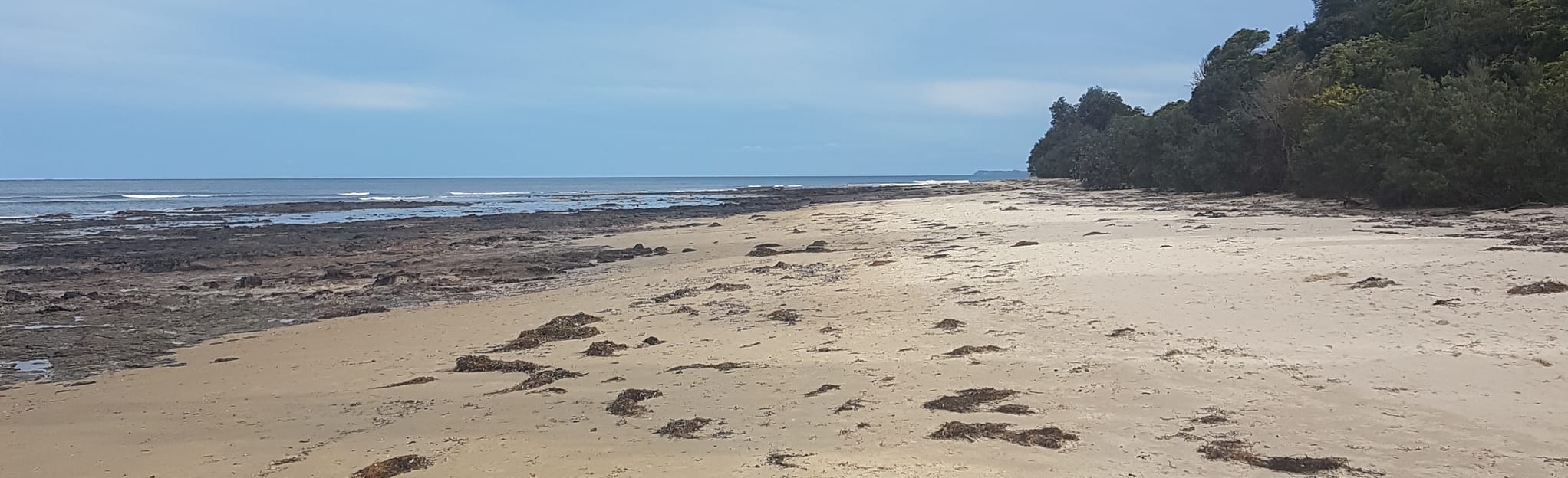 Balnarring Beach to Point Leo Coastal Walk: 26 foto's - Victoria ...