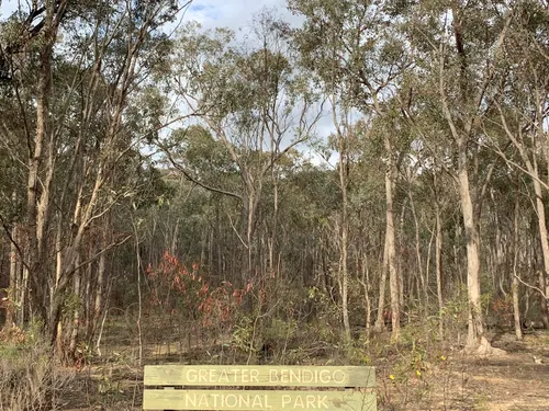 Best Long Trails in Greater Bendigo National Park | AllTrails