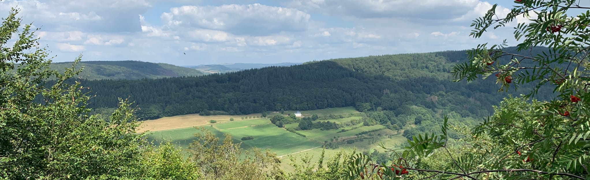 Berdorf - Berdorfer Casselt, Echternach, Luxembourg - 21 Reviews, Map ...