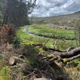 Cornish Hill and Loch, South Ayrshire, Scotland - 37 Reviews, Map ...