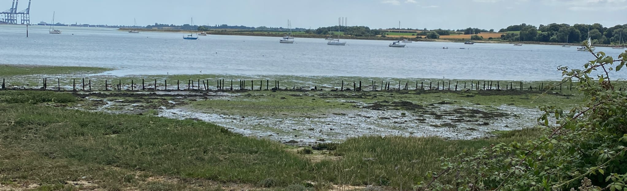 Levington Marina and River Orwell: 56 Fotos - Suffolk, England | AllTrails