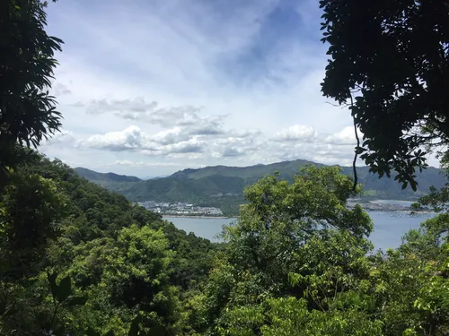 Best Hikes and Trails in Tai Po Kau Nature Reserve | AllTrails