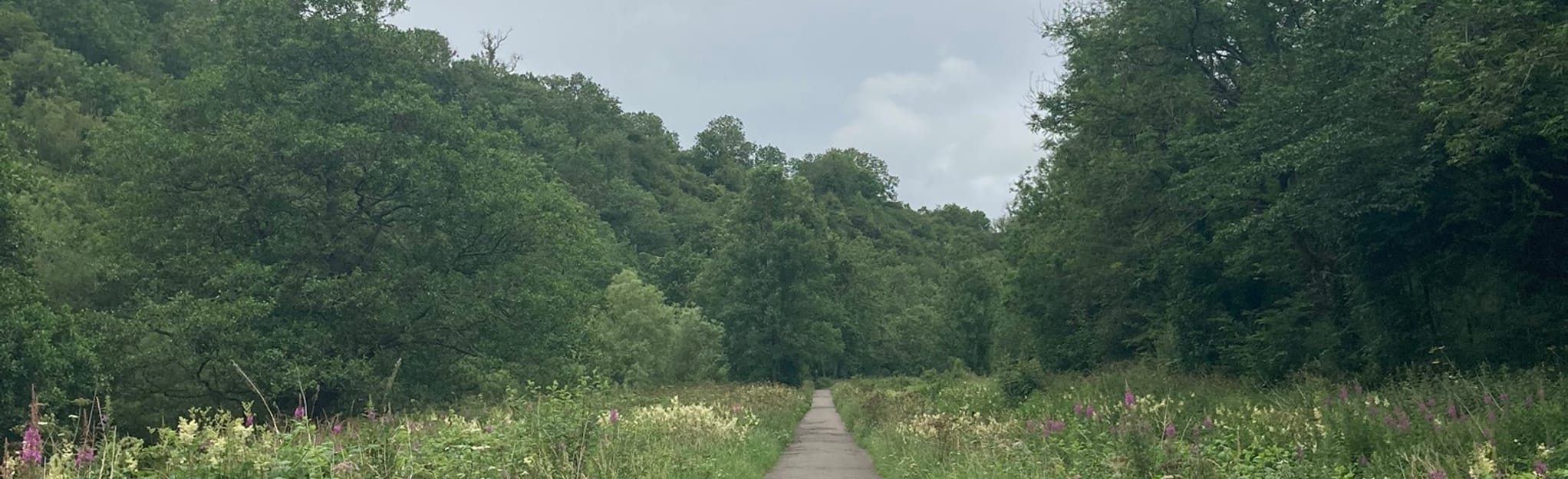 Waterhouses, Ellastone, and Ipstones Circular: 522 Fotos ...