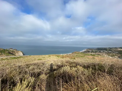 10 Best Hikes and Trails in Crystal Cove State Park | AllTrails