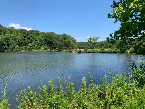 Best Hikes and Trails in Douglas Point Special Recreation Management ...