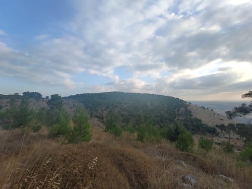 Best Hikes and Trails in Gilboa Forest | AllTrails