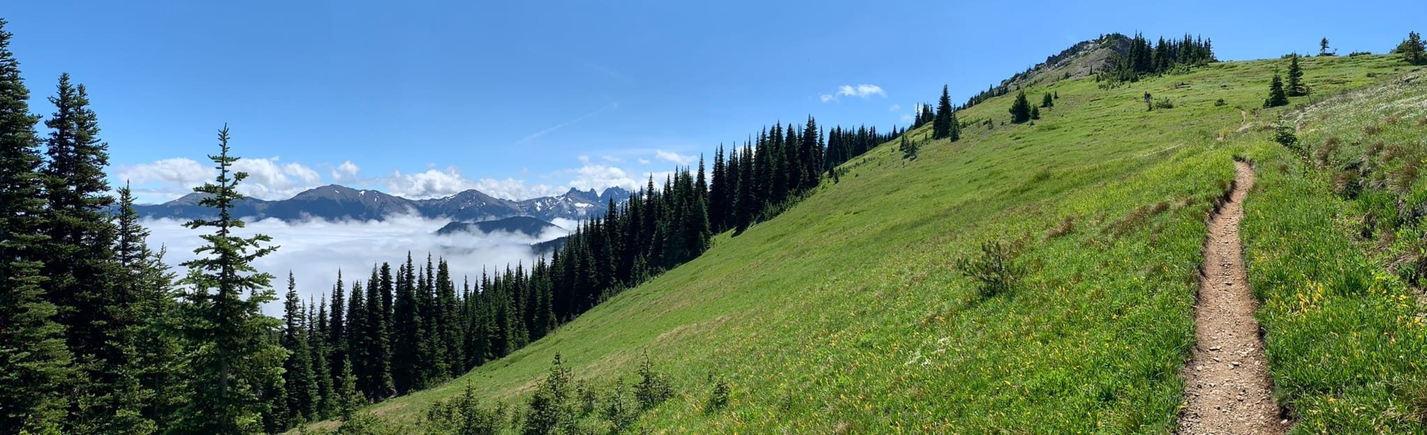 Obstruction Peak via Cameron Creek Backpacking Loop: 1.711 foto's ...