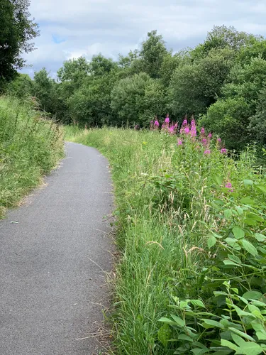 Best Hikes and Trails in Possil Marsh Nature Reserve | AllTrails