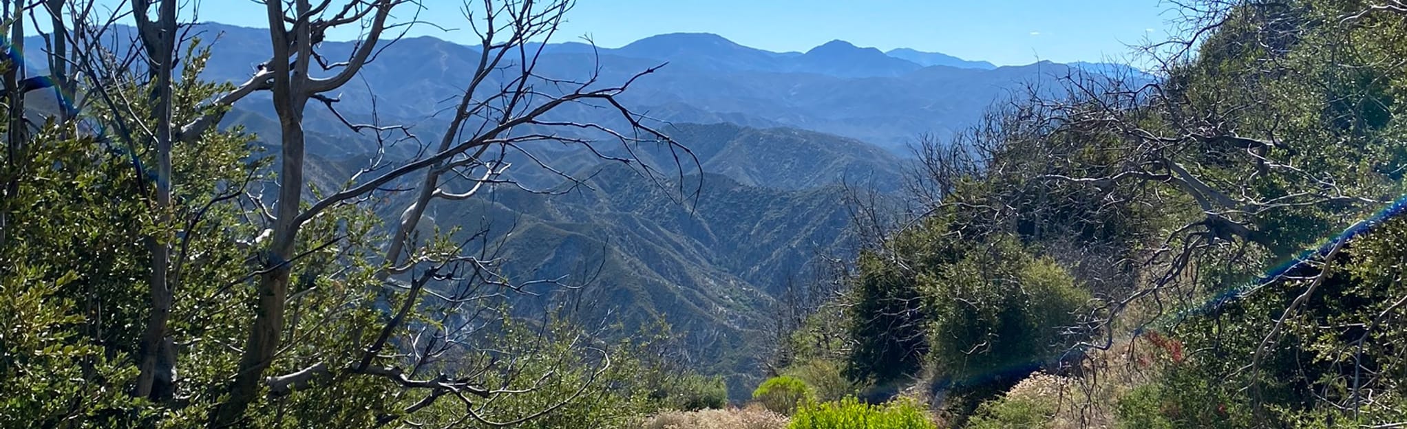 Condor Peak Trail: 328 Reviews, Map - California | AllTrails