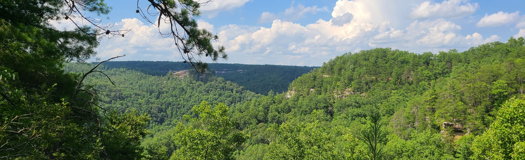 Princess Arch Trail, Kentucky - 1,140 Reviews, Map | AllTrails