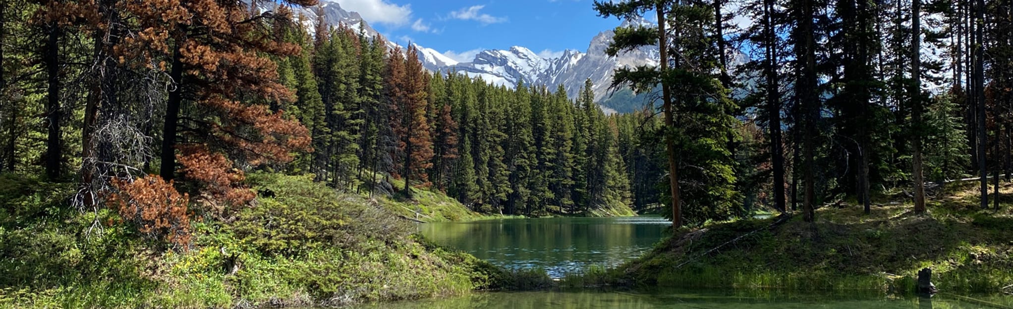 Great Divide Trail: Maligne Lake and Moose Lake Loop - Alberta, Canada ...