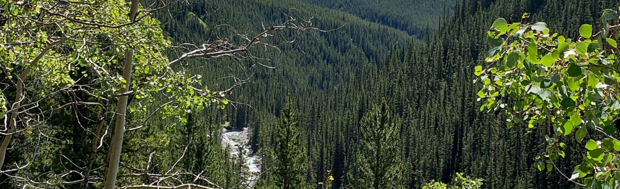 Fisher Peak, Alberta, Canada - 6 Reviews, Map | AllTrails
