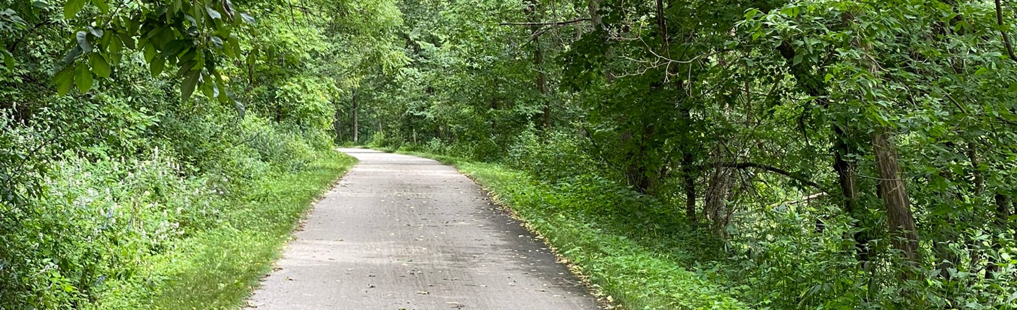 Root River Trail: Lanesboro to Rushford, Minnesota - 119 Reviews, Map ...