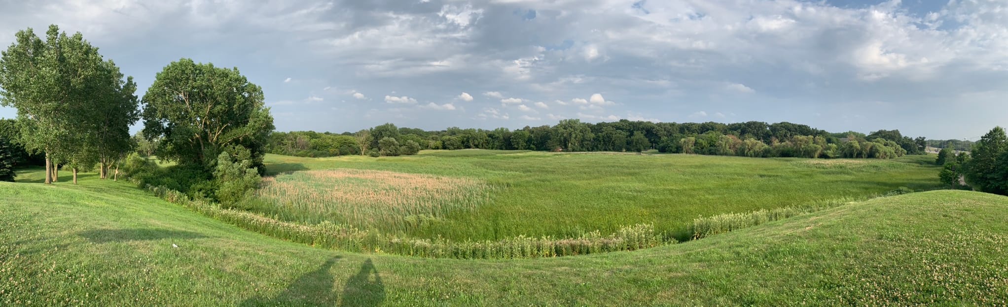 Springbrook Nature Center: 154 Reviews, Map - Illinois | AllTrails