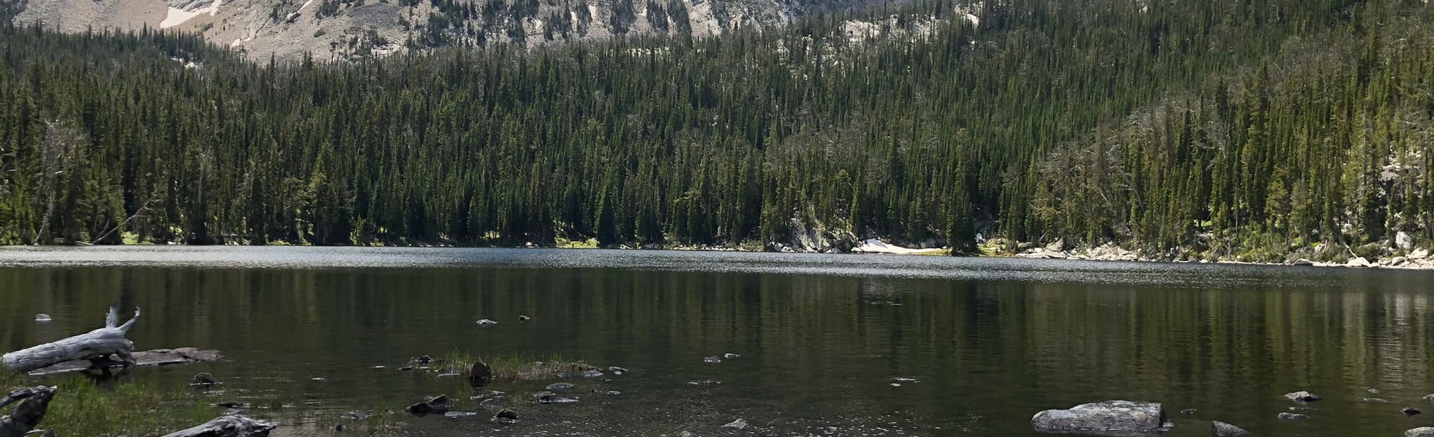 Edith Baldy Basin Trail, Montana - 20 Reviews, Map | AllTrails