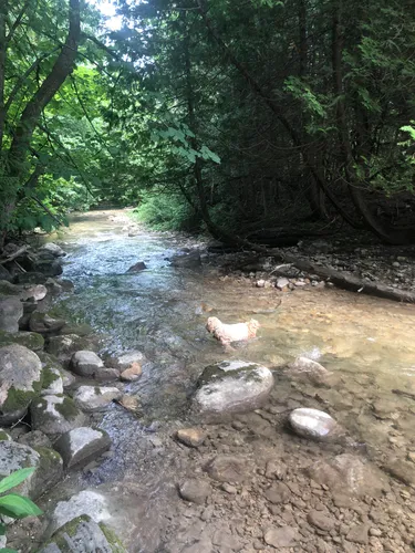 Best 10 Hikes and Trails in Pretty River Valley Provincial Park | AllTrails