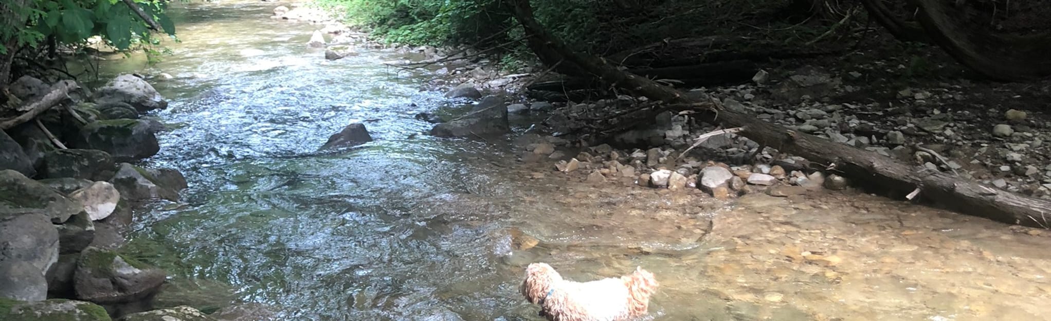 Pretty River Valley - Nottawasaga Lookout, Ontario, Canada - 27 Reviews ...