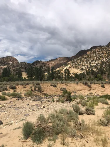 Best Backpacking Trails in Dixie National Forest | AllTrails