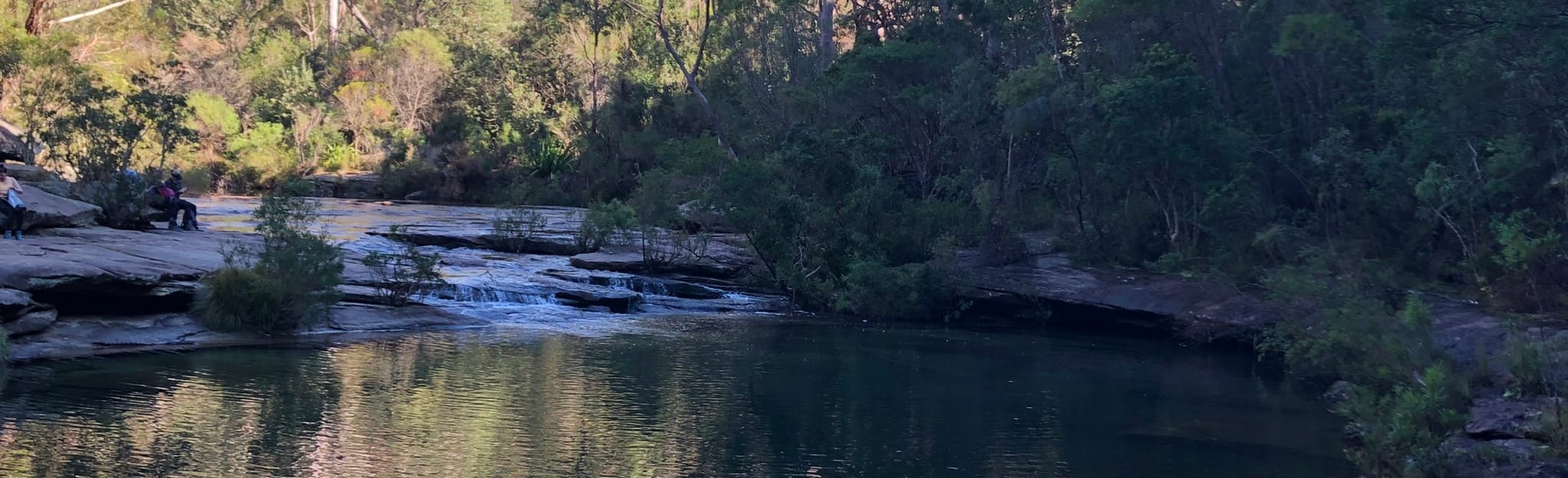 Karloo Walking Track, New South Wales, Australia - 132 Reviews, Map ...