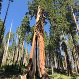 Guardians Loop Trail, California - 31 Reviews, Map | AllTrails