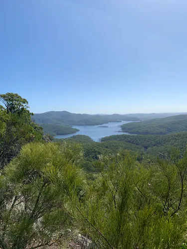 2023 Best Views Trails in Numinbah Valley | AllTrails