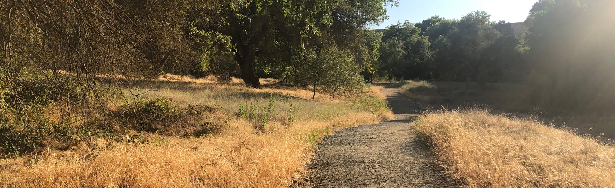 Knights Ferry Recreation Area: Russian Rapids Trail, California - 56 ...