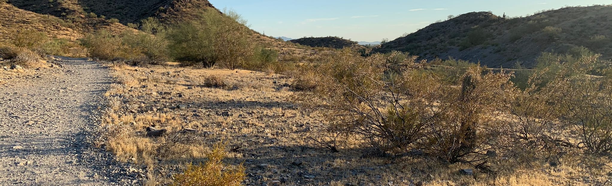 Trail 220 and Trail 100 Loop, Arizona - 224 Reviews, Map | AllTrails