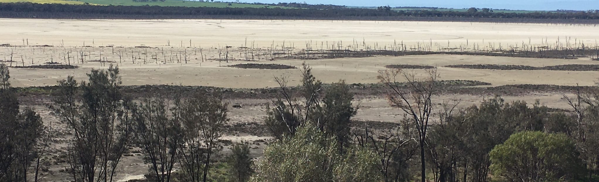 AllTrails | Walyormouring Lake Dry Season Walk: 1 Reviews, Map ...