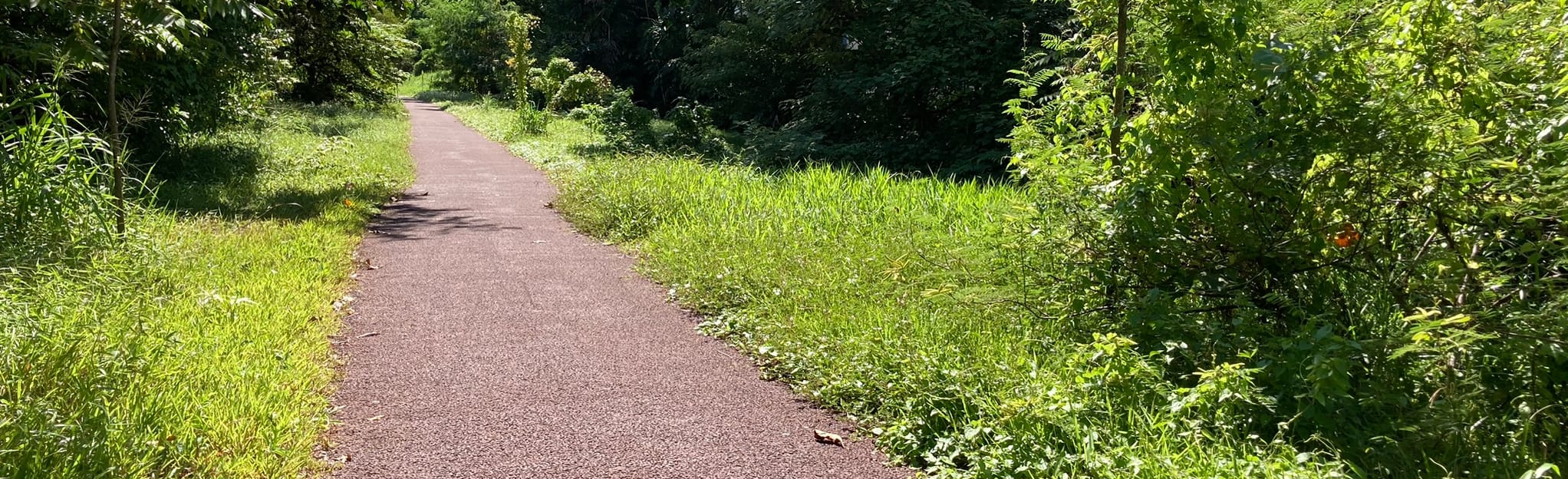Rail Corridor South Trail: 1.392 fotos - Região Central, Singapura ...