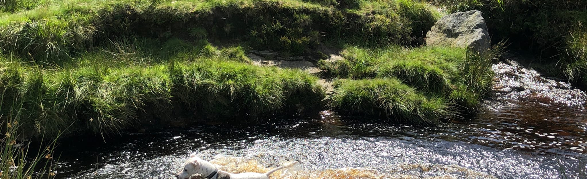 White Coppice and Great Hill Circular, Lancashire, England - 260 ...