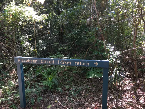 Best Hikes and Trails in Imbil State Forest 1 | AllTrails