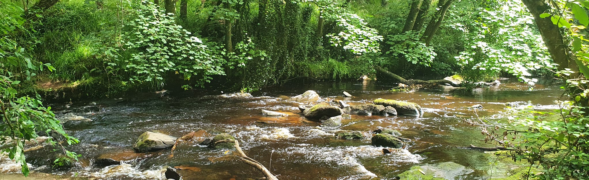 Clare Glens Yellow Loop: 16 Reviews, Map - County Tipperary, Ireland ...