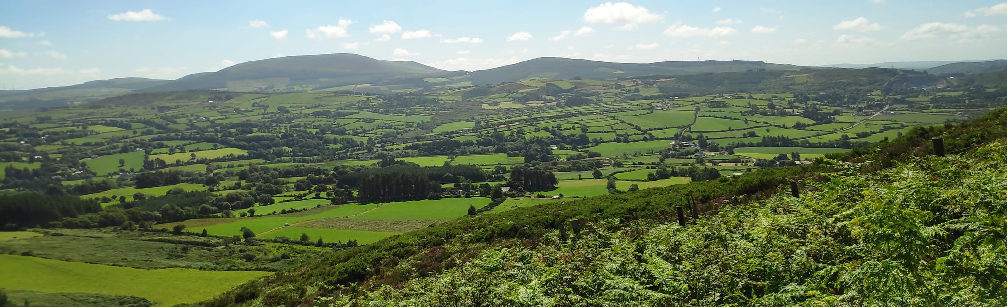 Millstreet and Claragh Loop, County Cork, Ireland - 169 Reviews, Map ...
