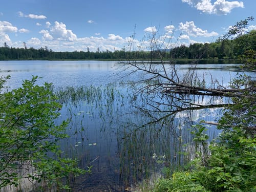 2023 Best 10 Trails and Hikes in Caratunk | AllTrails