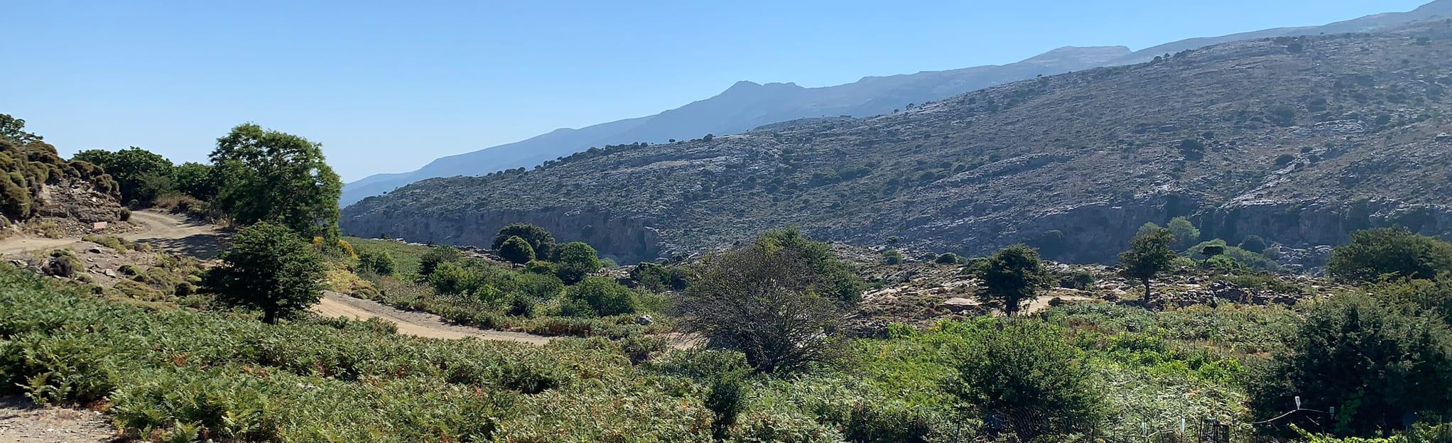 Ikarian Heights, Ikaria, Greece - Map, Guide | AllTrails