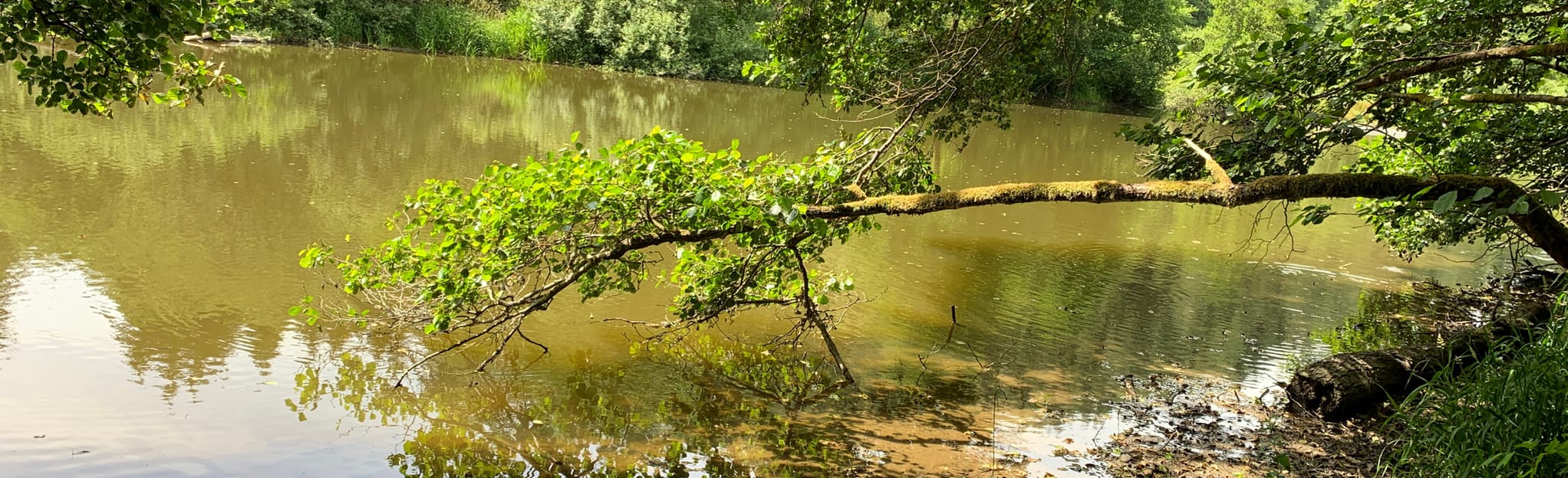 Boulaide Runde, Wiltz, Luxembourg - 10 Reviews, Map | AllTrails