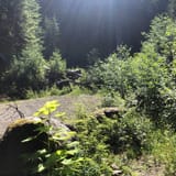 Church Creek - Satsop Lakes Trail, Washington - 26 Reviews, Map | AllTrails