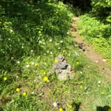 Church Creek - Satsop Lakes Trail, Washington - 26 Reviews, Map | AllTrails