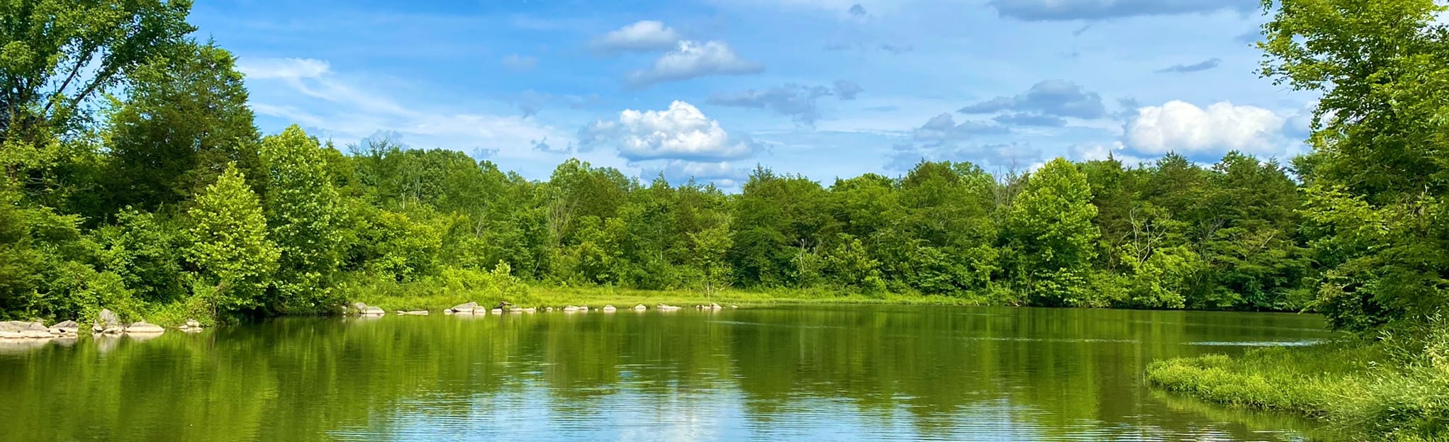 Duck River Hike, Tennessee - 19 Reviews, Map | AllTrails