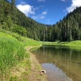 Church Creek - Satsop Lakes Trail, Washington - 26 Reviews, Map | AllTrails